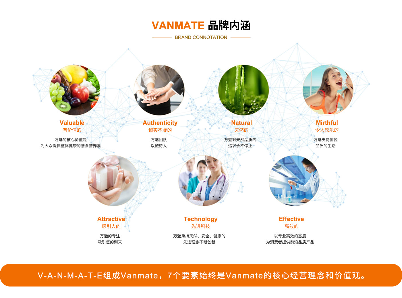 品牌介绍_NEW ZEALAND VANMATE CO., LIMITED