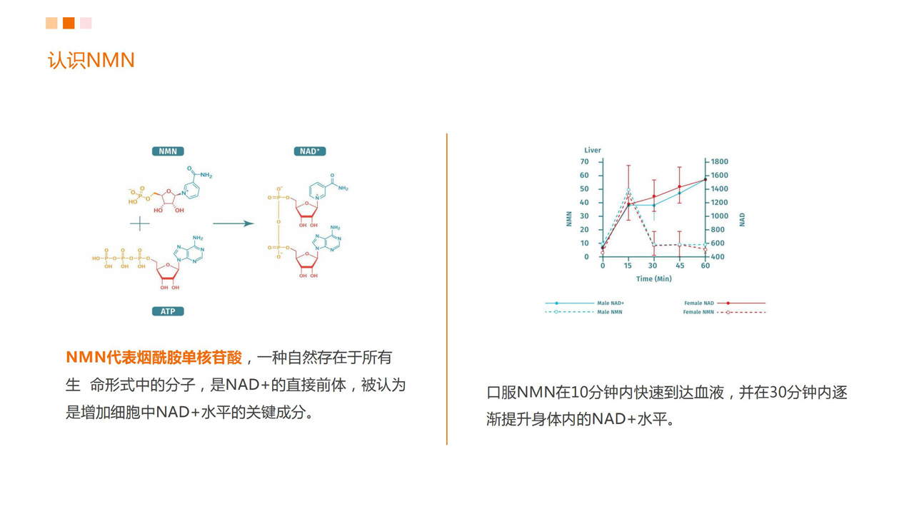 PLUS版逆龄胶囊 NMN_逆龄系列_NEW ZEALAND VANMATE CO., LIMITED
